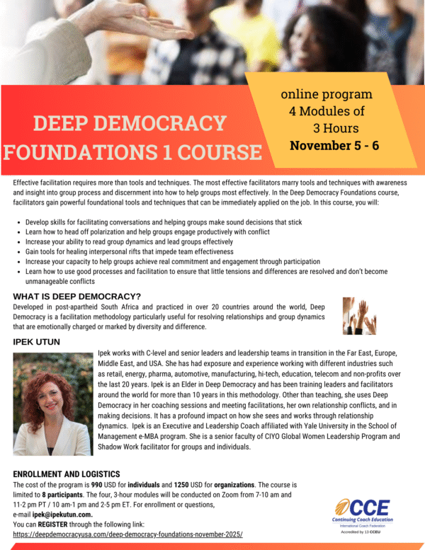 Deep Democracy Foundations 1 – November 2025 – Deep Democracy